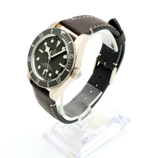 Tudor Black Bay 58 Silver 79010SG Latest Model 39mm Taupe Color Men's ...