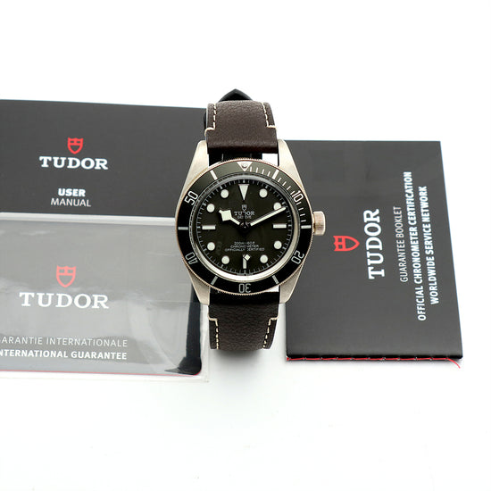 Tudor Black Bay 58 Silver 79010SG Latest Model 39mm Taupe Color Men's ...